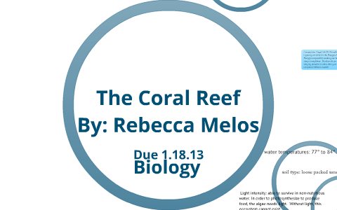 Coral Reef Biome Project by Rebecca Melos on Prezi