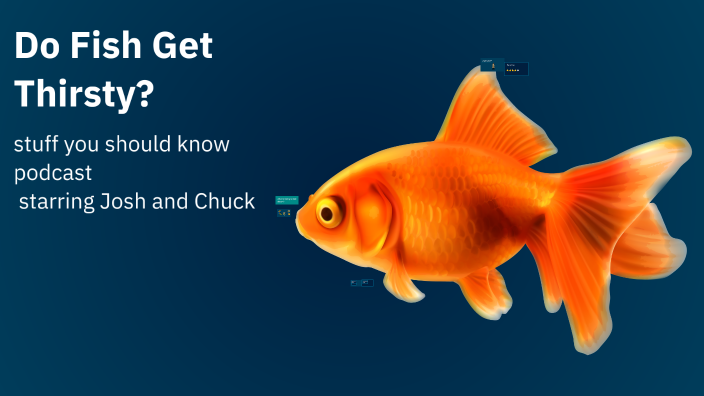 Do Fish Get Thirsty? by helgi þrastarson on Prezi
