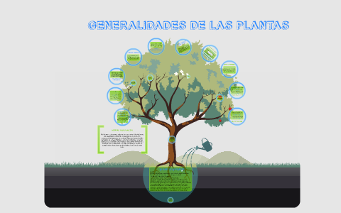 ¿QUE ES UNA PLANTA? by on Prezi