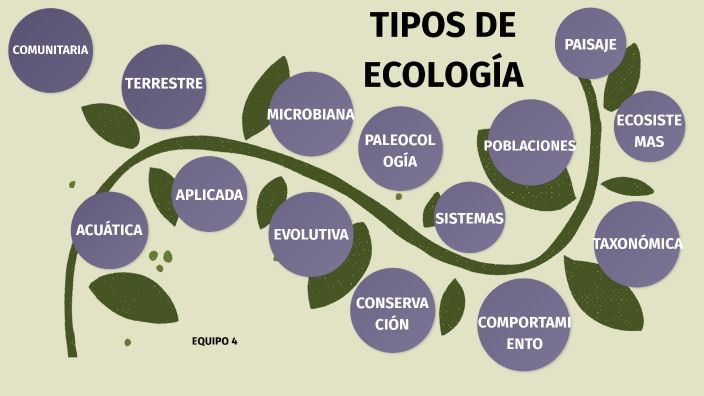 tipos de ecología by LANI DANAE AMATECO JUAREZ on Prezi
