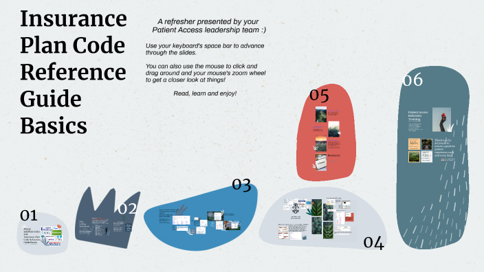 Insurance Plan Code Reference Guide Basics by Lisa Westholder on Prezi