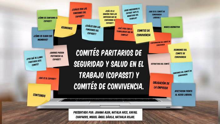 COMITÉS PARITARIOS DE SEGURIDAD Y SALUD EN EL TRABAJO (COPASST) Y ...