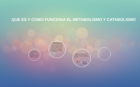 QUE ES Y COMO FUNCIONA EL METABOLISMO Y CATABOLISMO by Adelaida ...