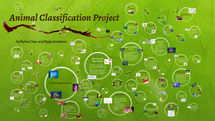 Animal Classification Project by Mazie Anderson on Prezi