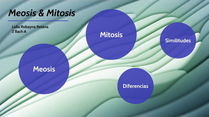 mitosis & meosis by Lidia Robayna on Prezi