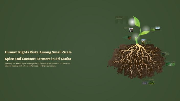 Human Rights Risks Among Small-Scale Spice and Coconut Farmers in Sri ...