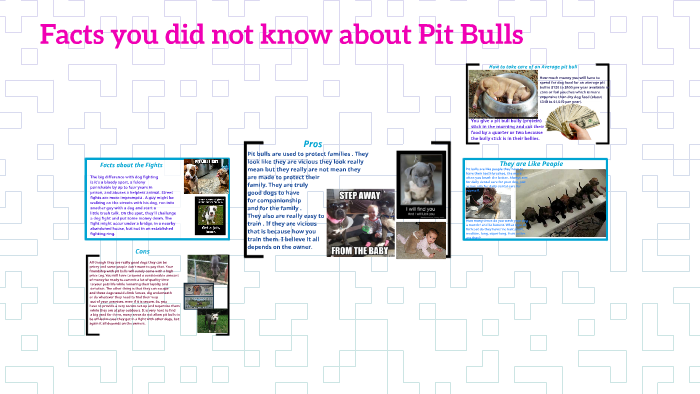 pros and cons (pit bulls) by maria flores on Prezi