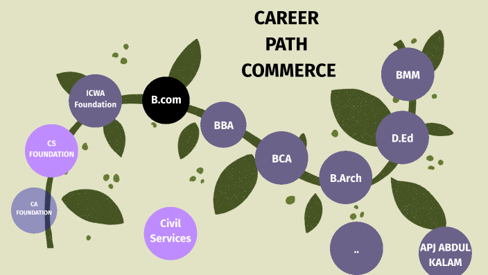 12th Commerce Carrer Guidance by Disha classes 2006 on Prezi
