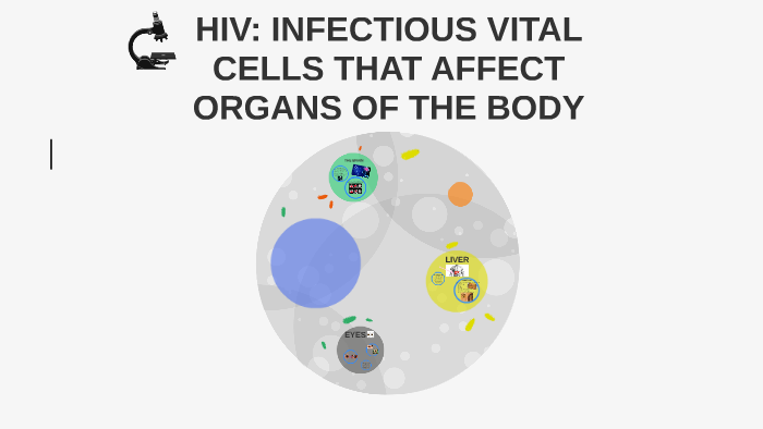 THE INDUCTION OF HIV ONTO ORGANS by Akuah Aboagye on Prezi