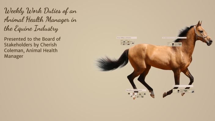 Weekly Work Duties of an Animal Health Manager in the Equine Industry ...