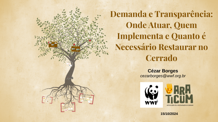 Cerrado - Embaixadas by Cezar Borges on Prezi