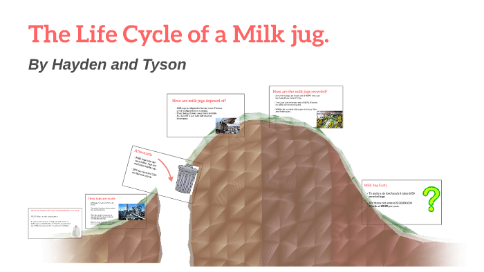 The life cycle of a milk. jug by hayden murphy on Prezi