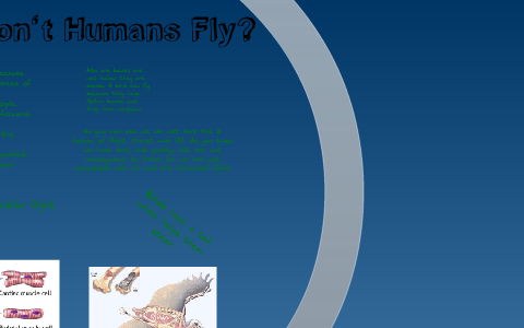 Why can't humans fly? by Yen Ho Park on Prezi