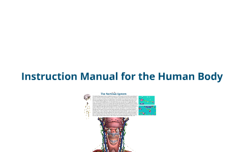 Instruction Manual to the Human Body by Adrian H on Prezi