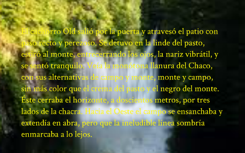 cuento la insolacion horacio quiroga by Maira Yuliza Gonzales Araujo on ...