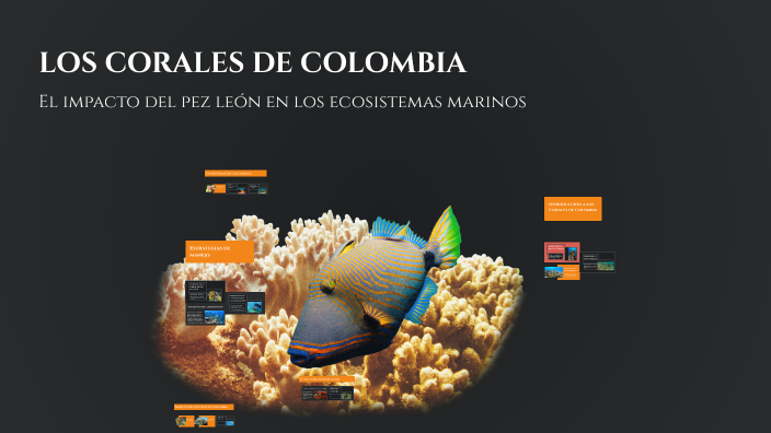 LOS CORALES DE COLOMBIA by Johan Andres Vásquez Shek on Prezi