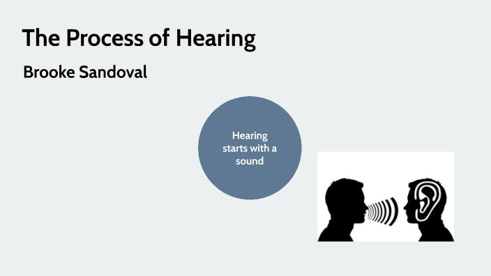 The Process of Hearing by Brooke Sandoval on Prezi