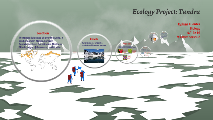 Ecology Project: Tundra by on Prezi