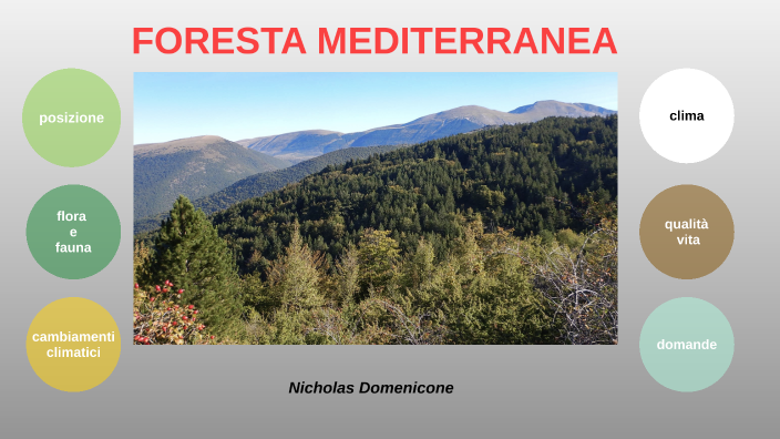 FORESTA MEDITERRANEA by Nicholas Domenicone on Prezi