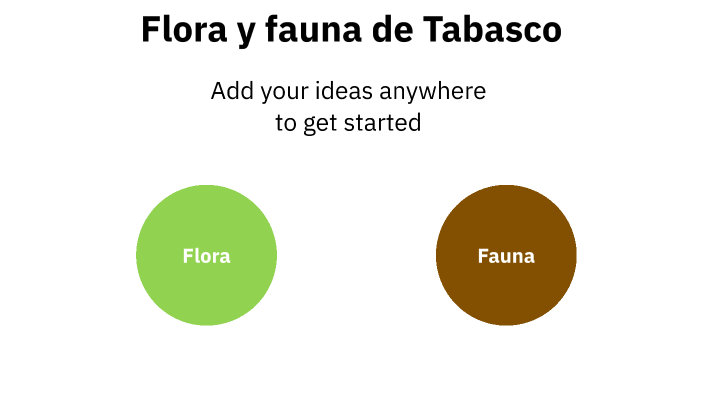 Flora y fauna de tabasco by Joshua Cuellar Martínez on Prezi