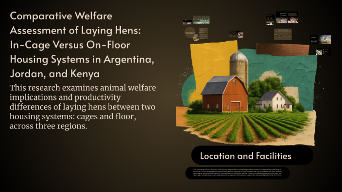 Comparative Welfare Assessment of Laying Hens: In-Cage Versus On-Floor ...