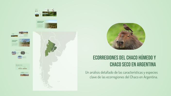 Ecorregiones del Chaco Húmedo y Chaco Seco en Argentina by Matias ...