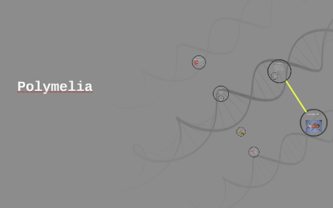 Polymelia by Tanner Blevins on Prezi