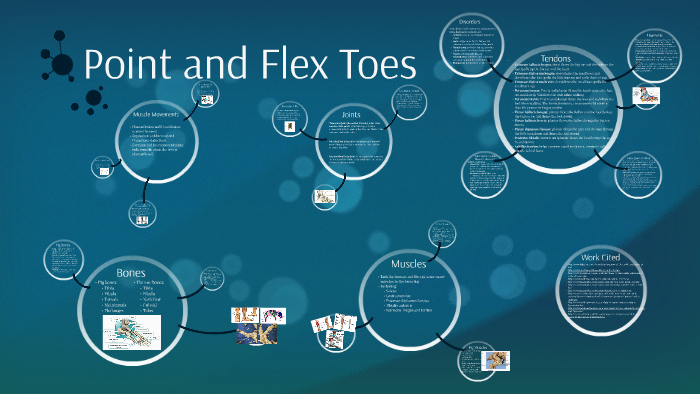 Point and Flex Toes by Maya Lombardi on Prezi