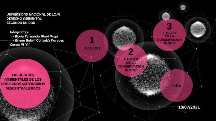 FACULTADES AMBIENTALES DE LOS GOBIERNOS AUTONOMOS DESCENTRALIZADOS by ...