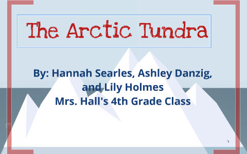 The Arctic Tundra by Lily Holmes on Prezi