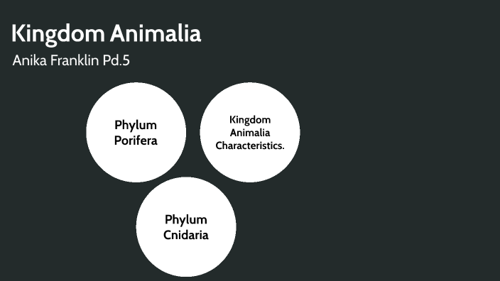 Zoology Animalia Kingdom by Anika franklin on Prezi Zoology Animalia Kingdom by Anika franklin on Prezi