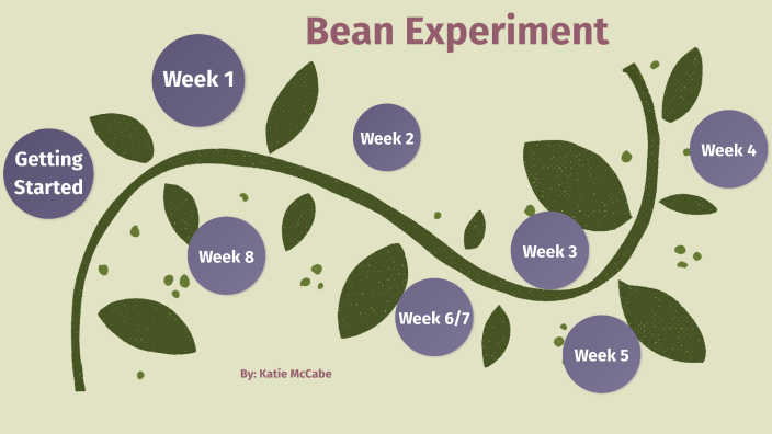 Bean Experiment by Katie McCabe on Prezi