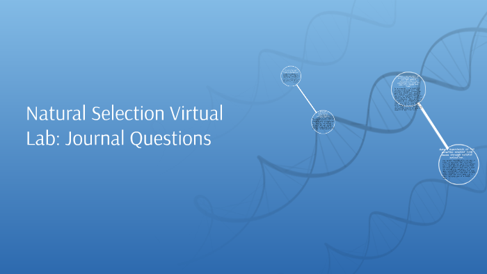 Natural Selection Virtual Lab by lauren mckay on Prezi