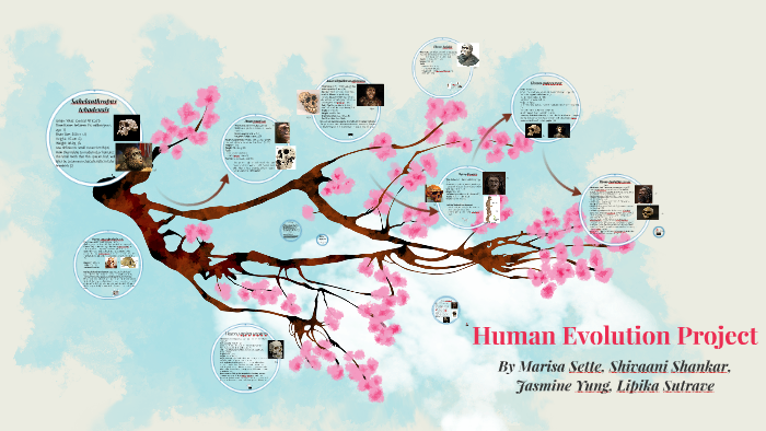 Human Evolution Project by Marisa Sette on Prezi