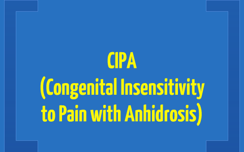 CIPA by Scott Van Grinsven