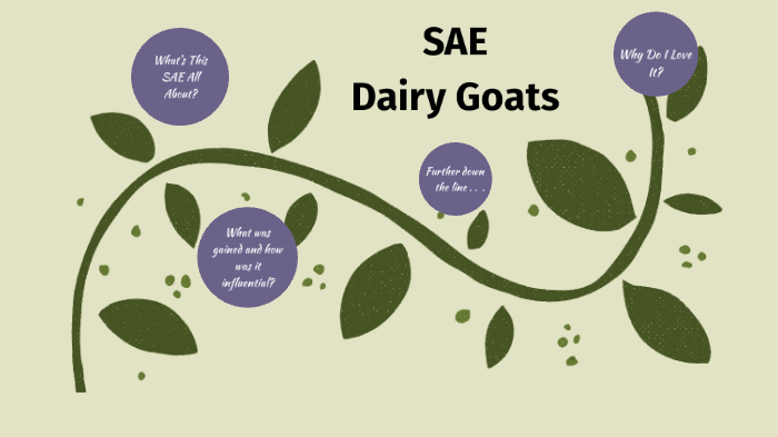 SAE - Dairy Goats by Aggie Ramsdell on Prezi