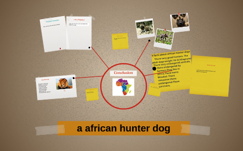 a african hunter dog by Allen Millan