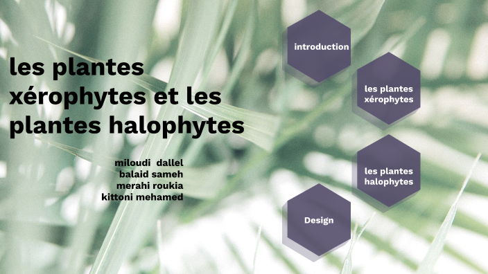 les plantes xérophytes et halophytes by dallel milou on Prezi