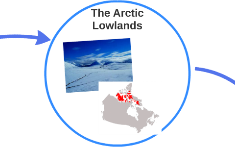 The Arctic Lowlands by Cindy Shen on Prezi