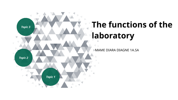 The functions of the laboratory by MAME DIARA DIAGNE on Prezi
