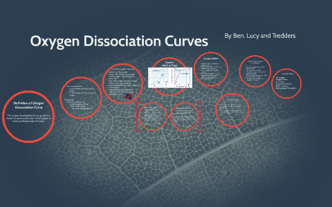 Oxygen Dissociation Curves by Lucy Evans on Prezi