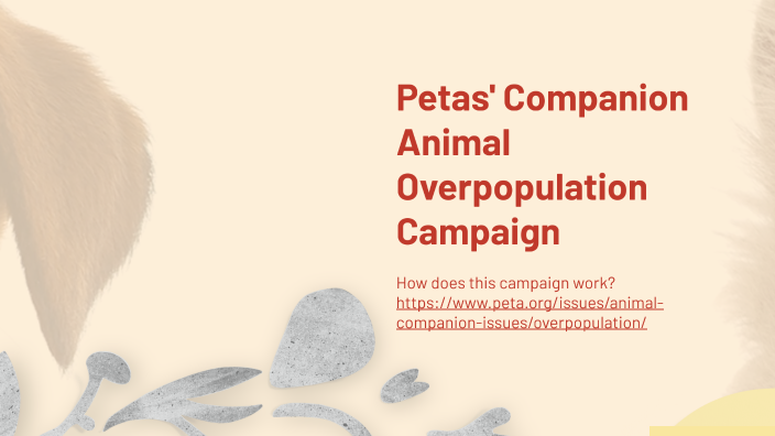 Companion Animal Overpopulation by Abby Brownell on Prezi