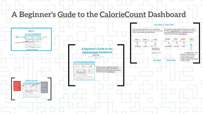 A Beginner's Guide to the CalorieCount Dashboard by Tobi LeFaye on Prezi