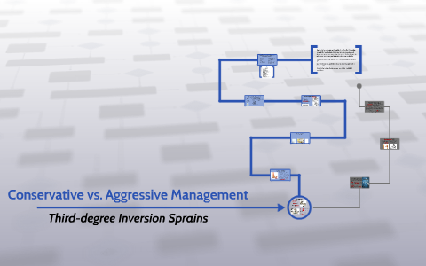 Conservative vs. Aggressive Management by Kate Drewry on Prezi