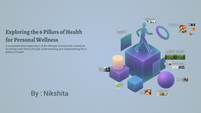 Exploring the 6 Pillars of Health for Personal Wellness by Nikshita D ...