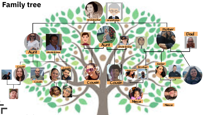 family tree by ANGELA MARIA PINTO CANO on Prezi
