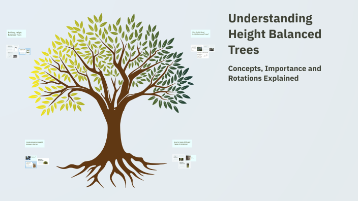 Understanding Height Balanced Trees by Shaheer Ch on Prezi