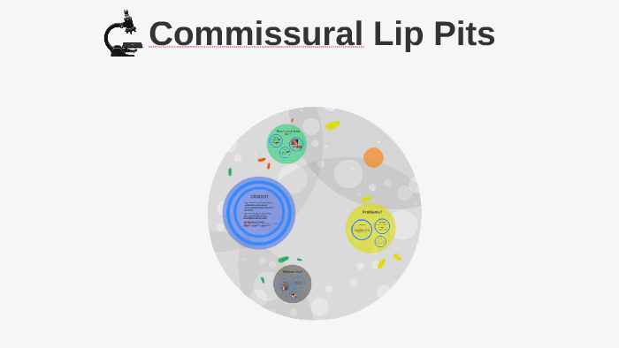 Commissural Lip Pits by Adrian Burrus on Prezi