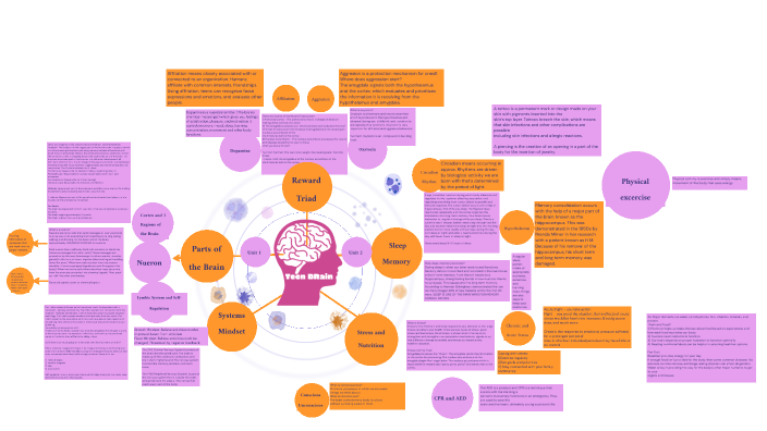 Mind Map Teen Brain by Anjana Devi Hari _ Student - PantherCreekH on Prezi