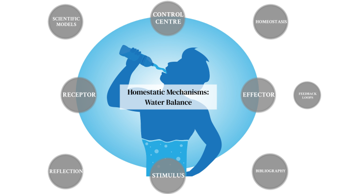 water balance (osmoregulation) by mora salesa on Prezi
